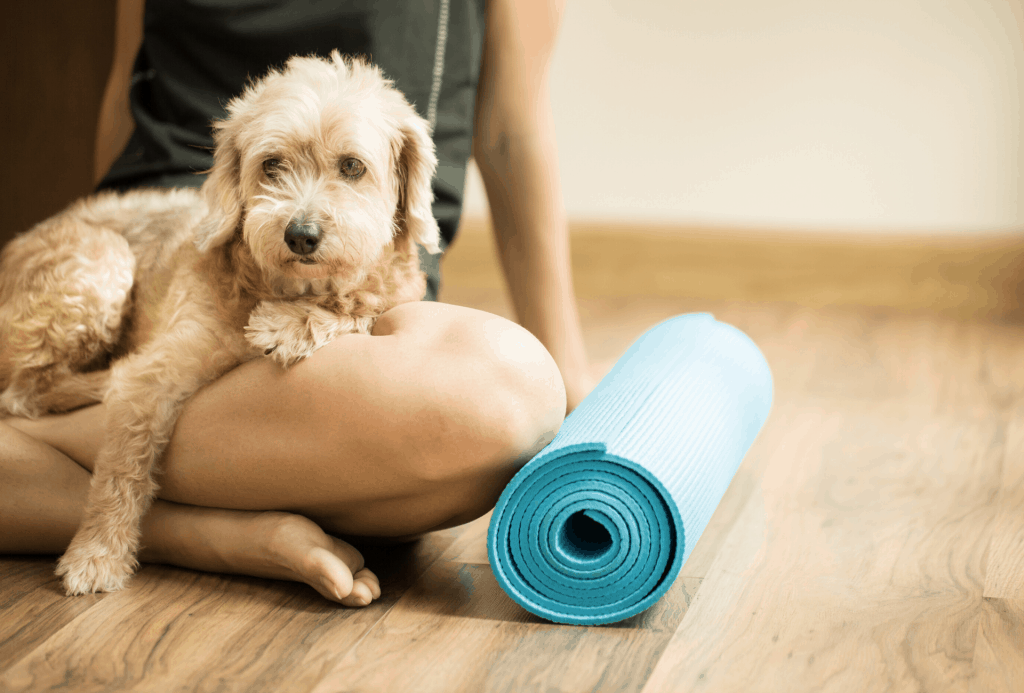 Dog Yoga - How Doga Works and Why It's Actually Awesome | PawLeaks