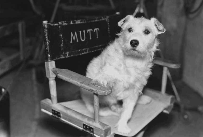 800+ Movie Dog Names for Iconic Pups | PawLeaks