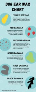 Dog Ear Wax Color Chart: 6 Colors, Causes, Solutions | PawLeaks