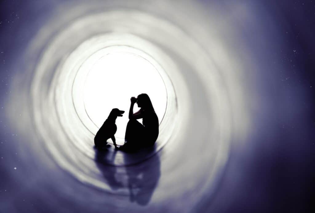 Dog Cremation 101 – Everything You Need To Know | PawLeaks